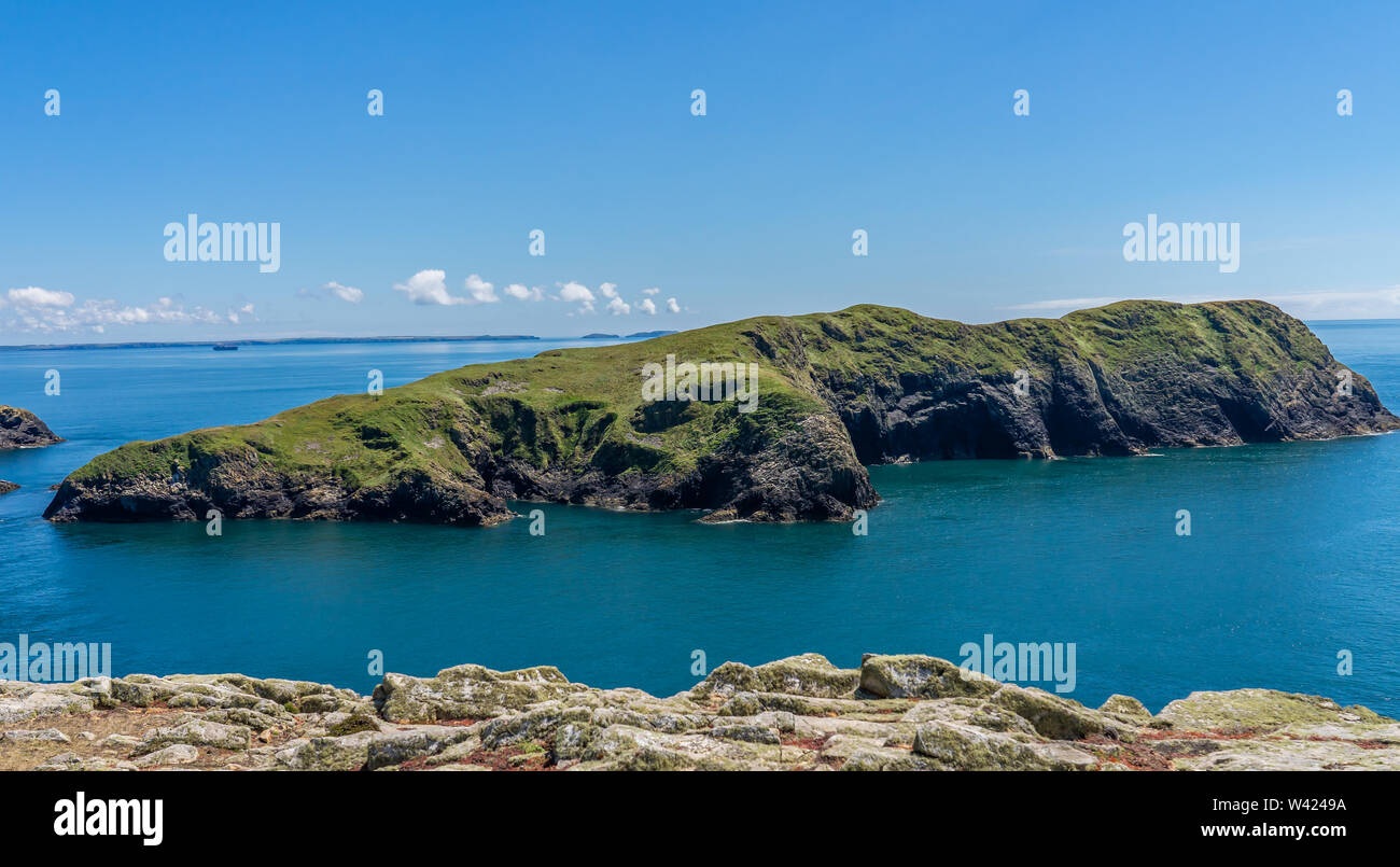 Walk around Ramsey Island RSPB nature reserve: Ynys Bery Stock Photo ...