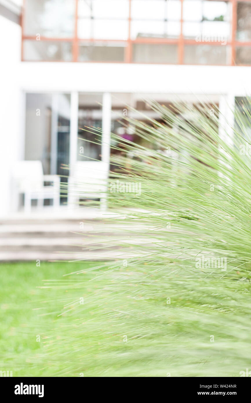 Muddle green background hi-res stock photography and images - Alamy