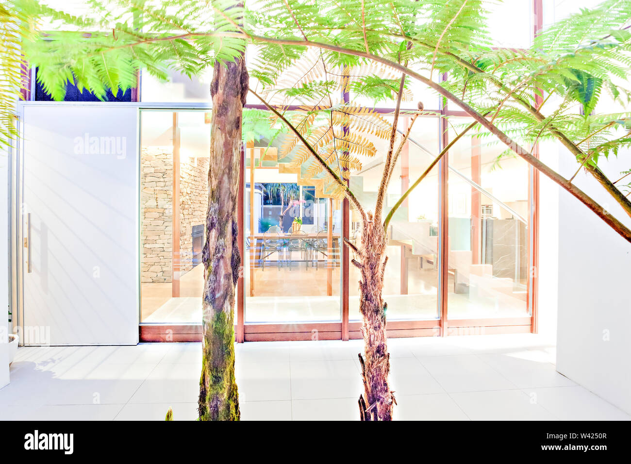 Outdoor garden trees with glass windows close up, the trees are with ...