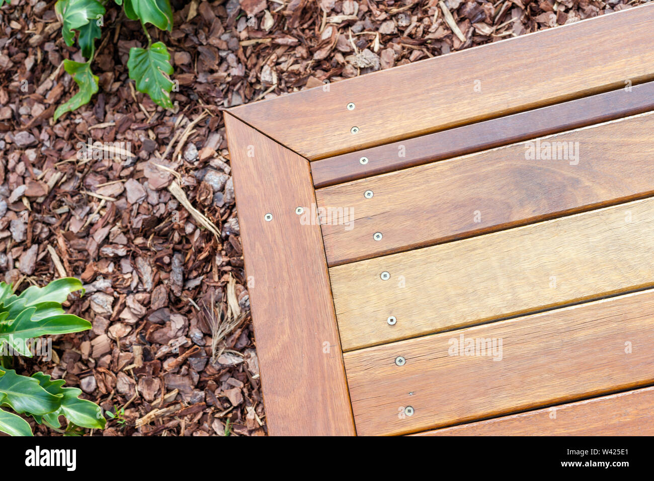 Dead plant office hi-res stock photography and images - Alamy