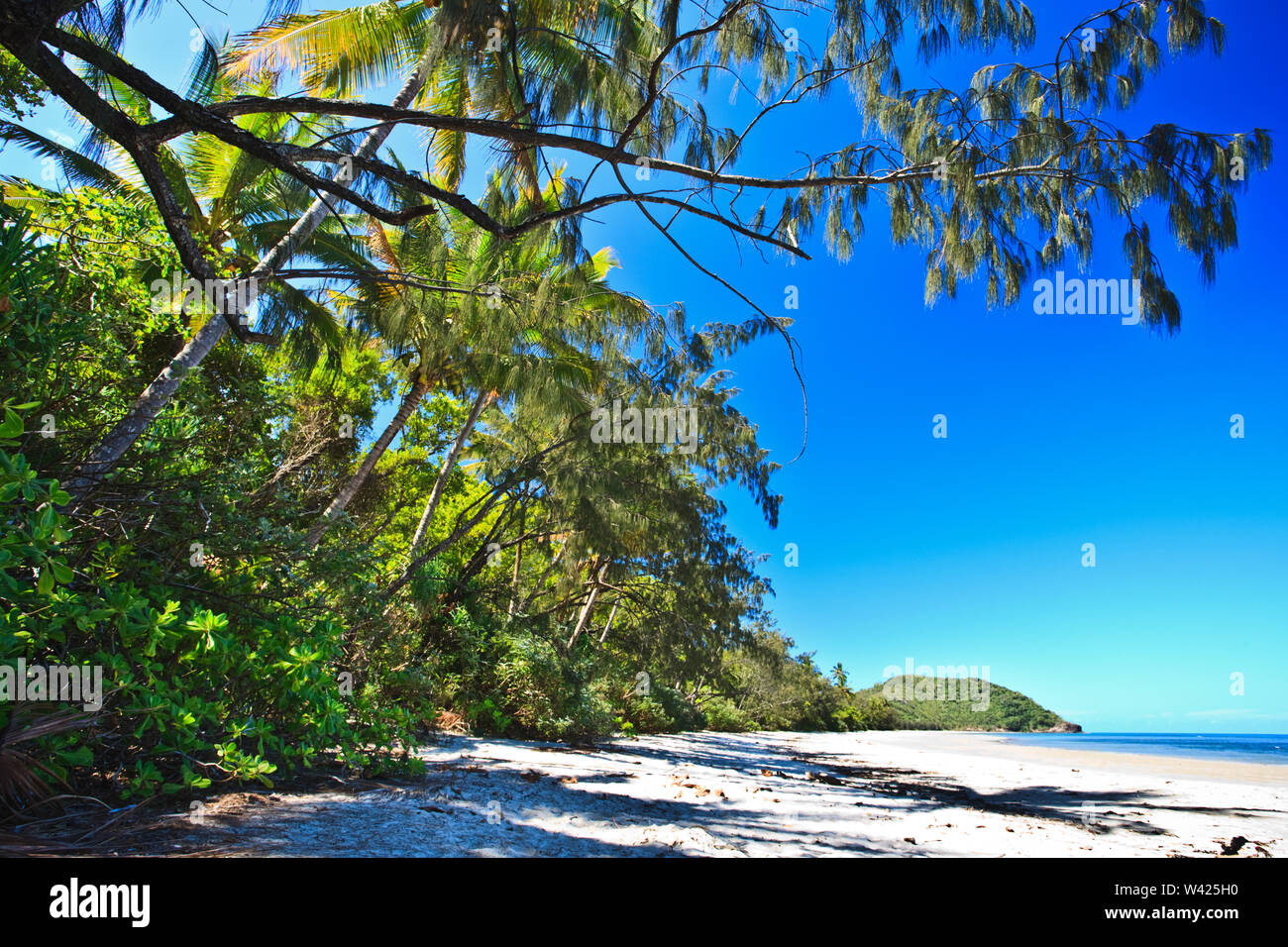 A peaceful beach with seaside foliage Stock Photo - Alamy