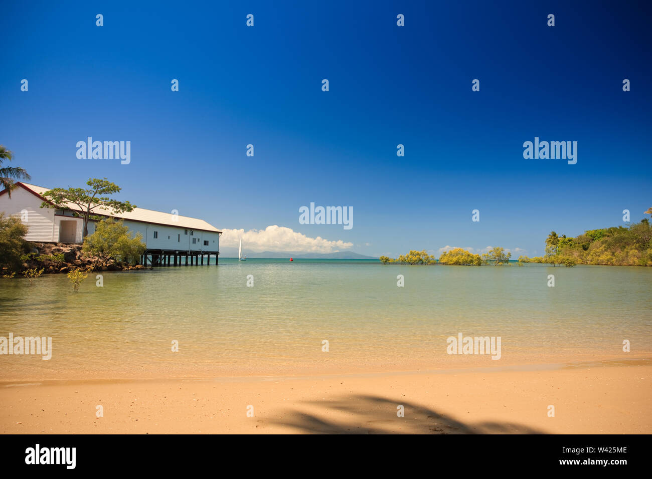 A peaceful seascape with seaside foliage, a dock house, and a yacht ...