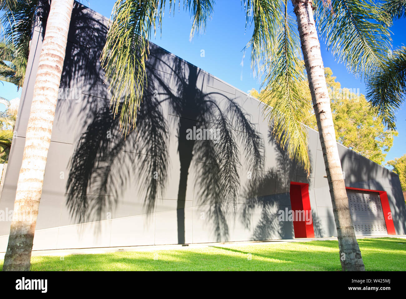 A modern building exterior with palm trees Stock Photo - Alamy