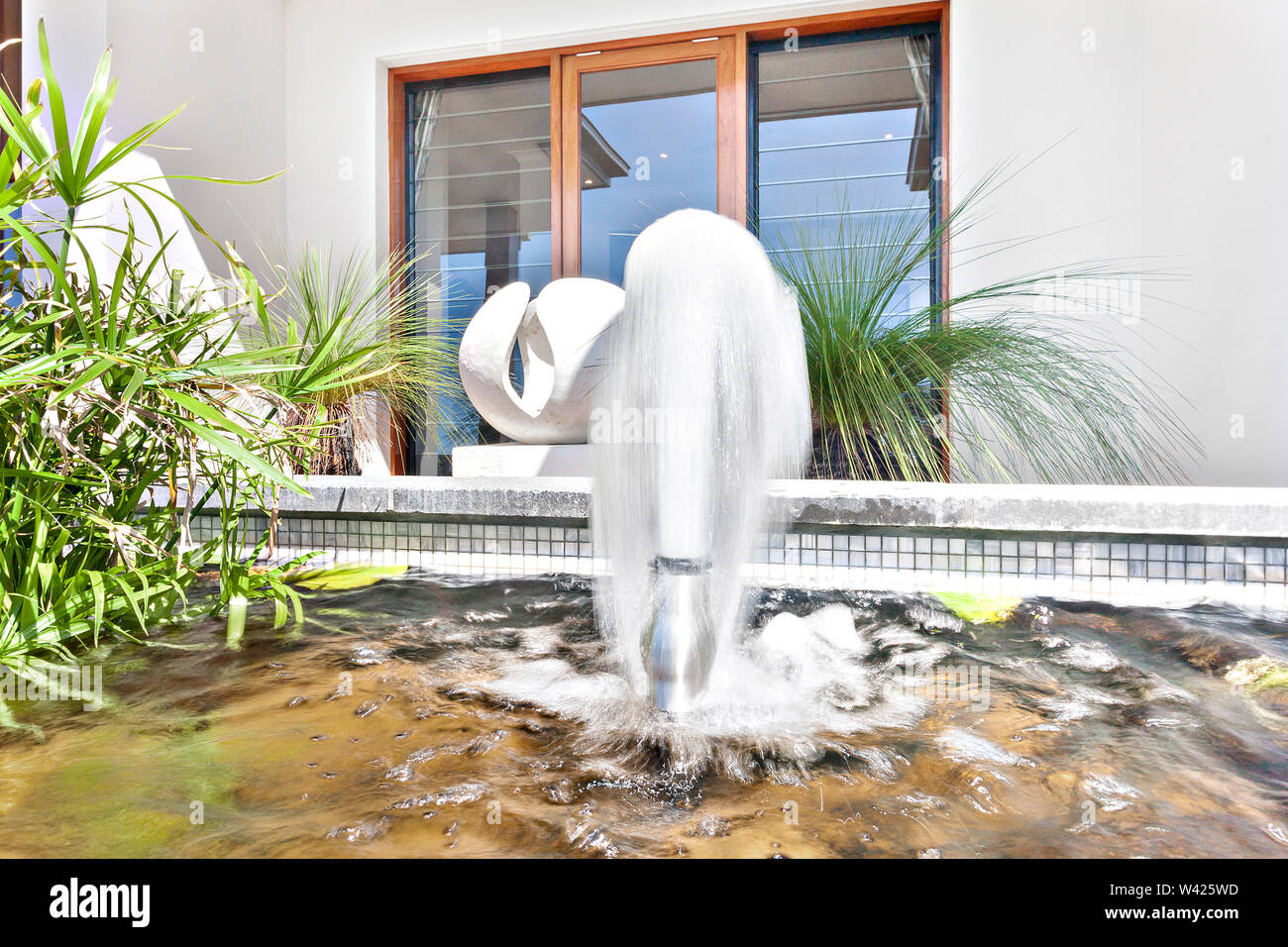 Garden water pond with plants, sunlight arround the area, glass windows ...