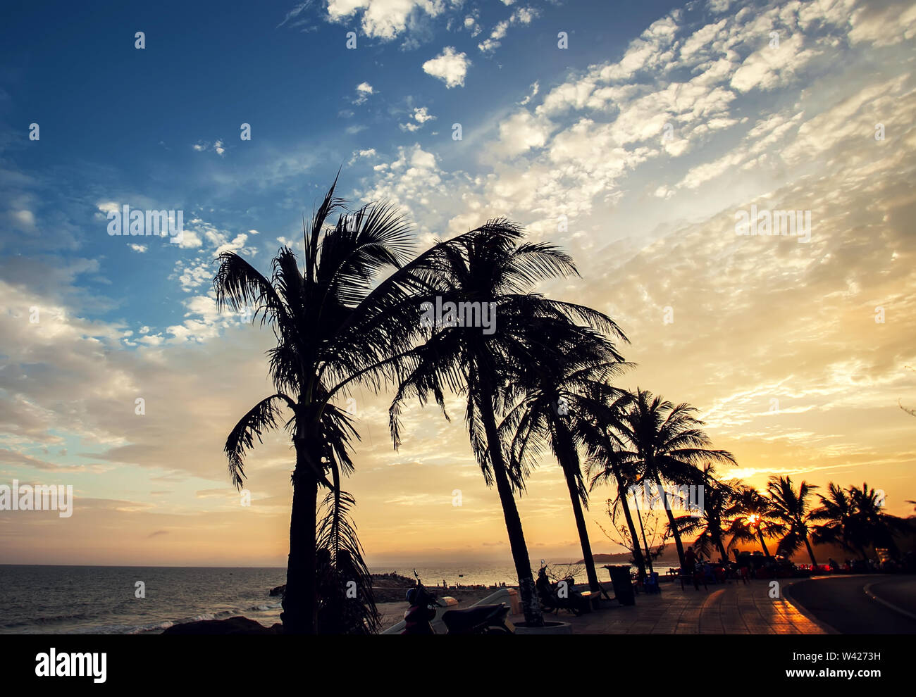 coconut palm trees on beach at sunset Stock Photo - Alamy