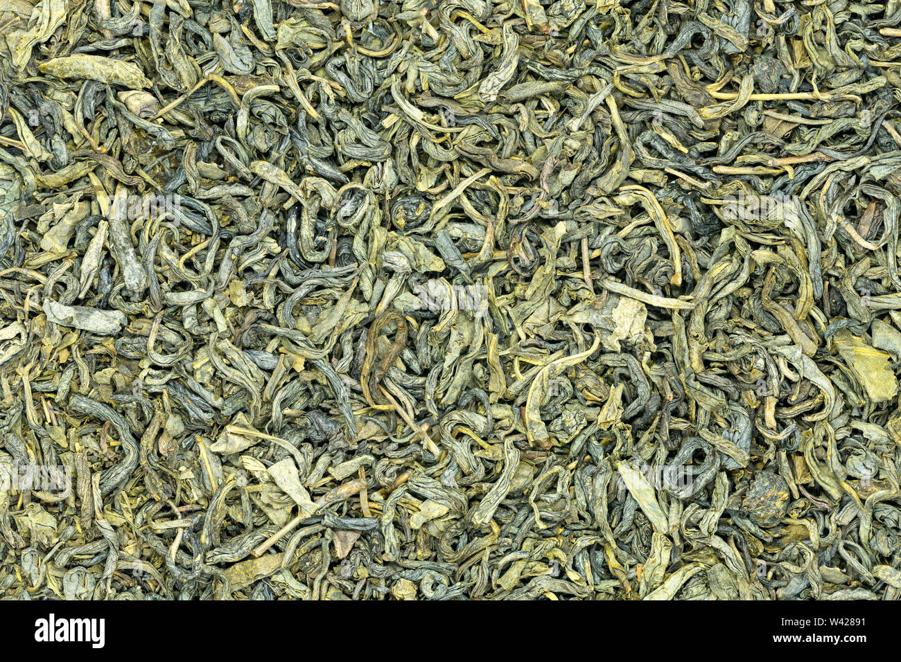 Huangshan Maofeng green tea, close up, macro. China yellow mountain ...