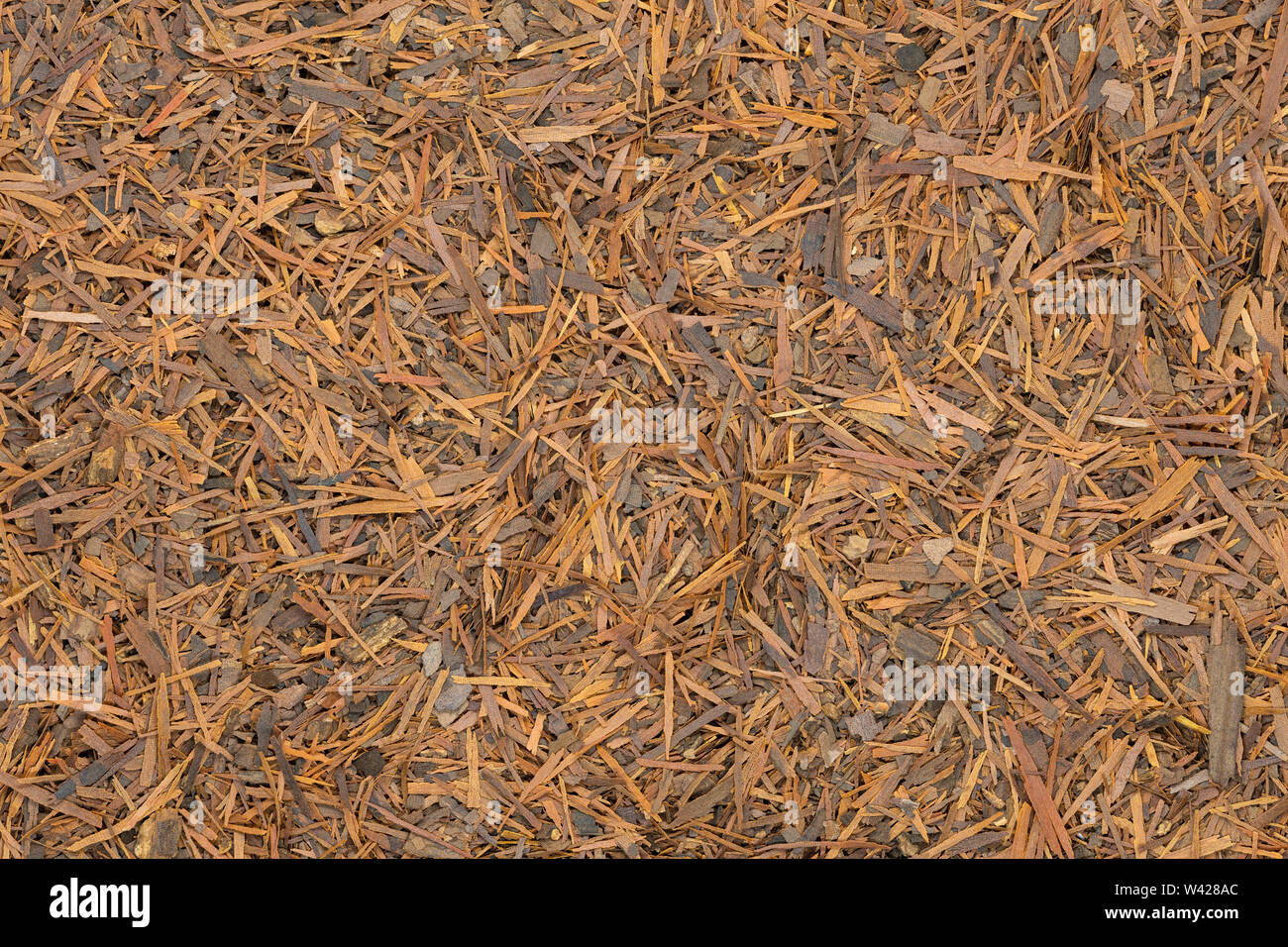 Lapacho herbal tea, close up, macro. Healthy South American tea drink ...