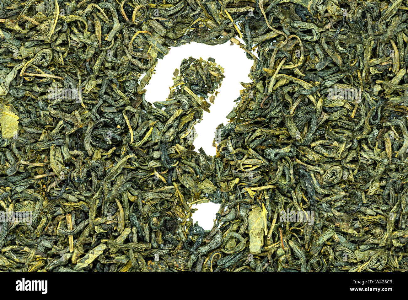 Huangshan Maofeng green tea, question mark shape, close up. China ...