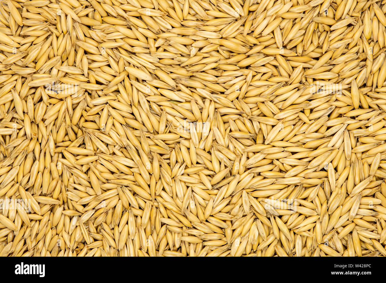 Oat disease hi-res stock photography and images - Alamy