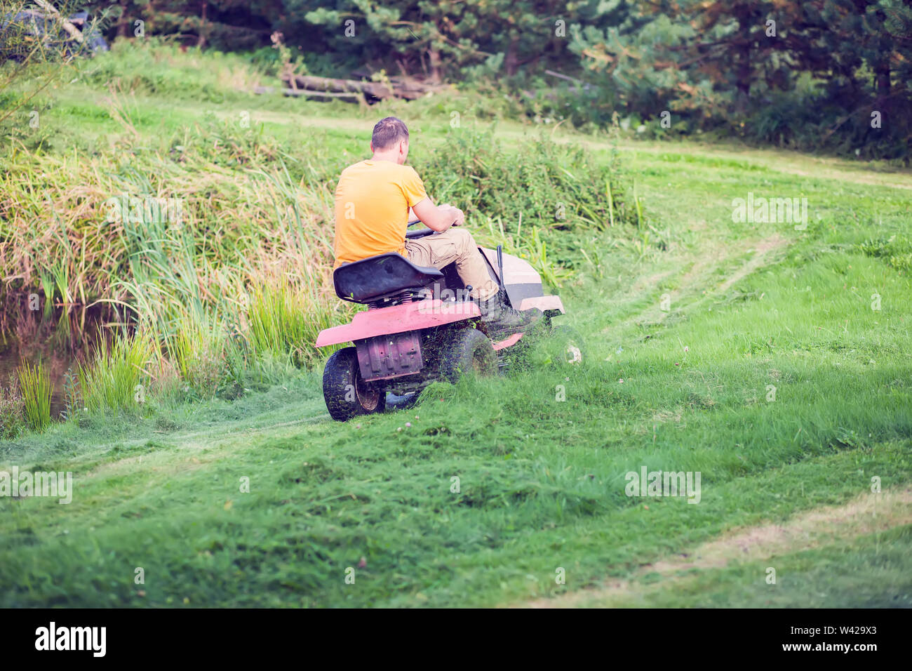 Fresh cut grass flying from riding lawnmower person cutting long green ...