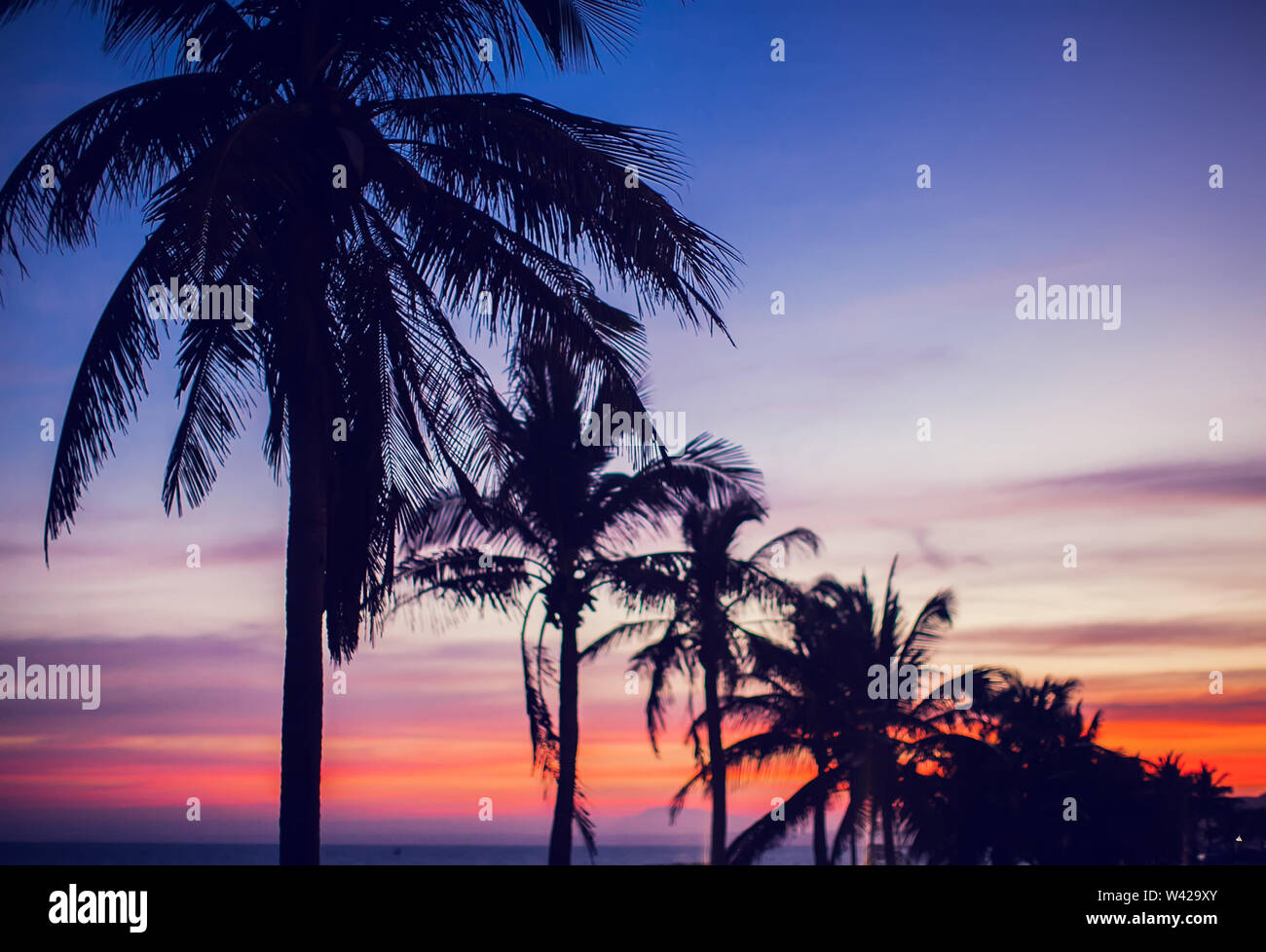 Palm trees sunset golden red blue sky backlight Stock Photo - Alamy