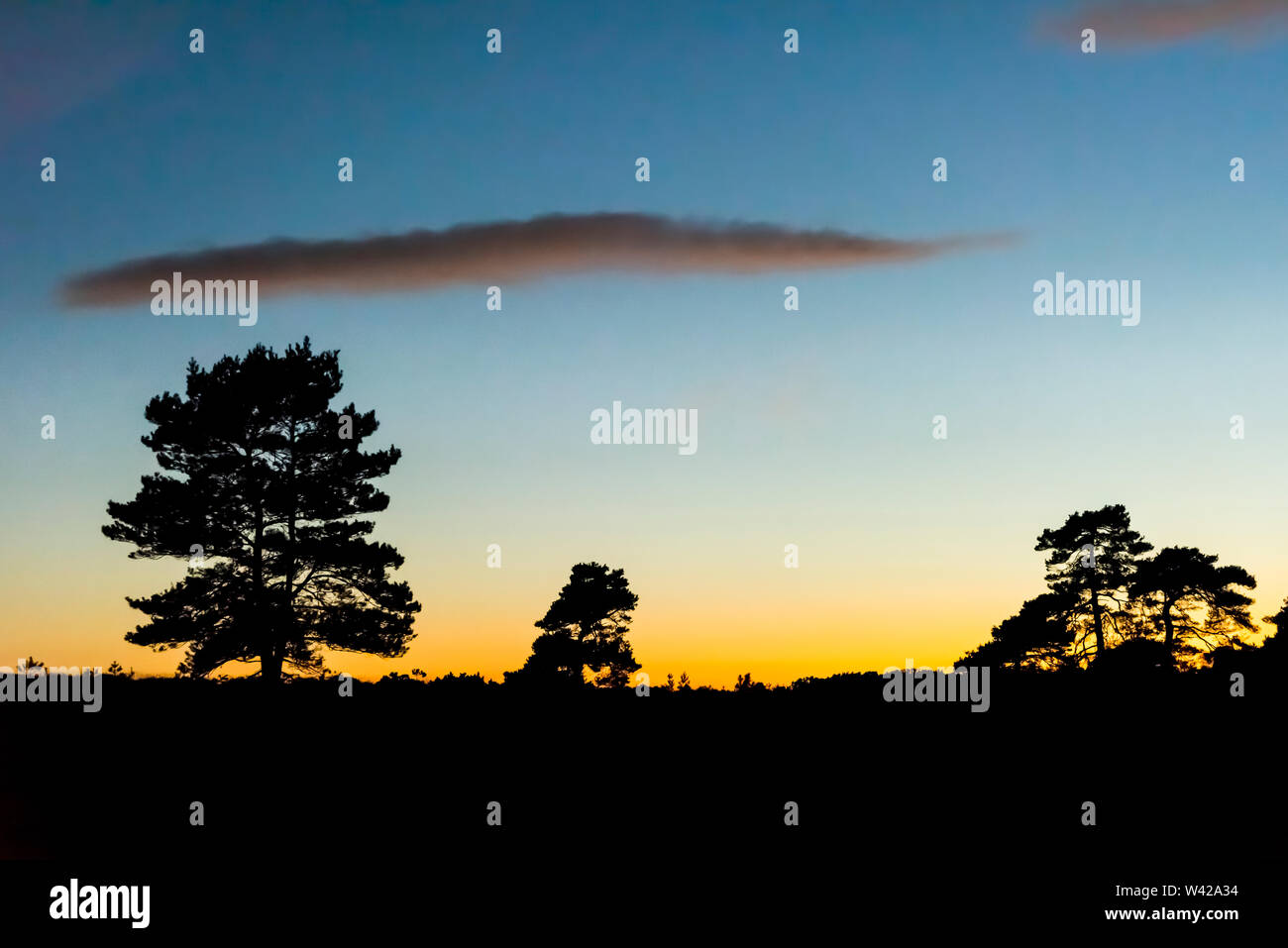 Distinctive silhouette hi-res stock photography and images - Alamy