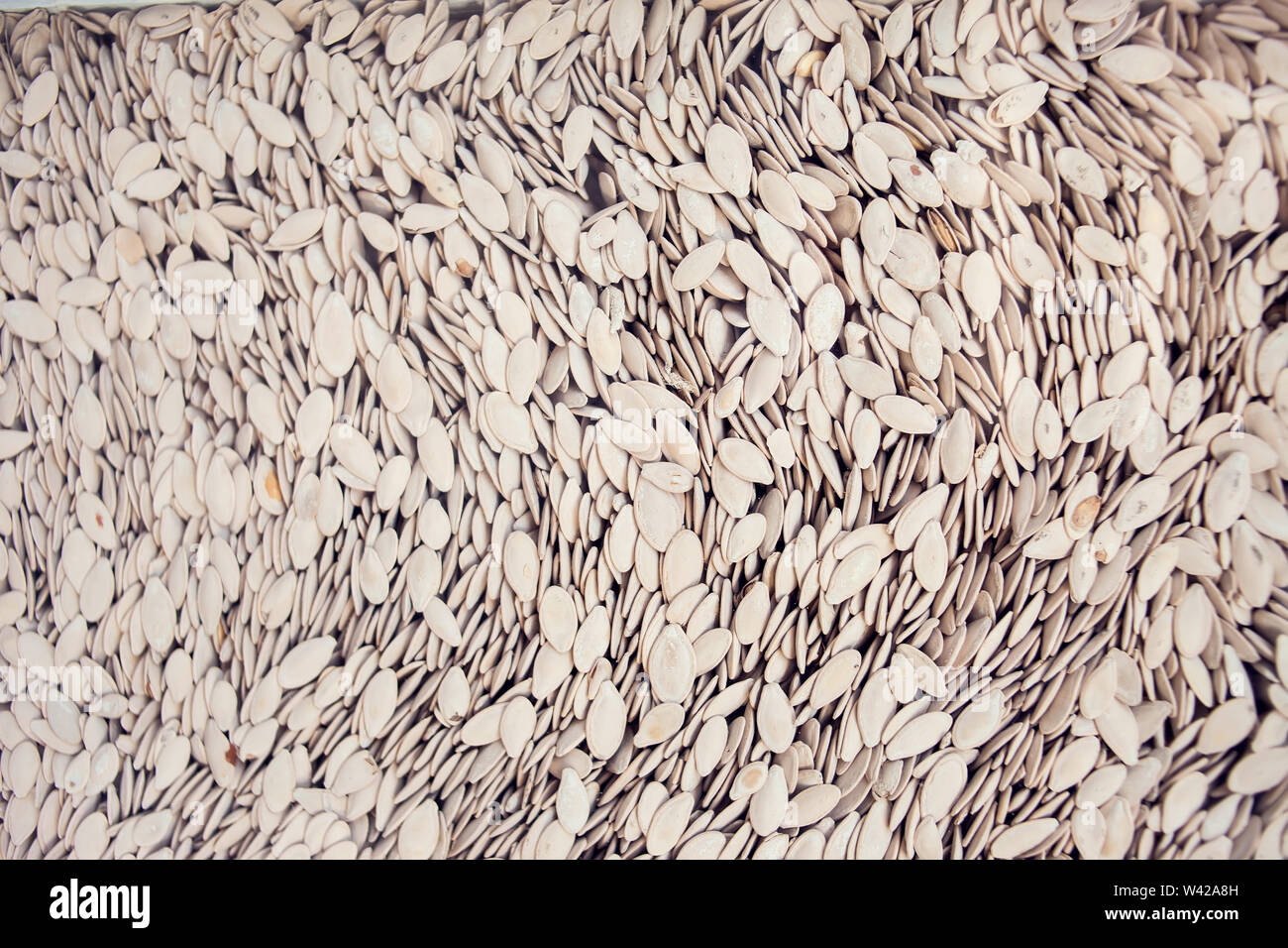 White sunflower seeds. For texture or background Stock Photo - Alamy