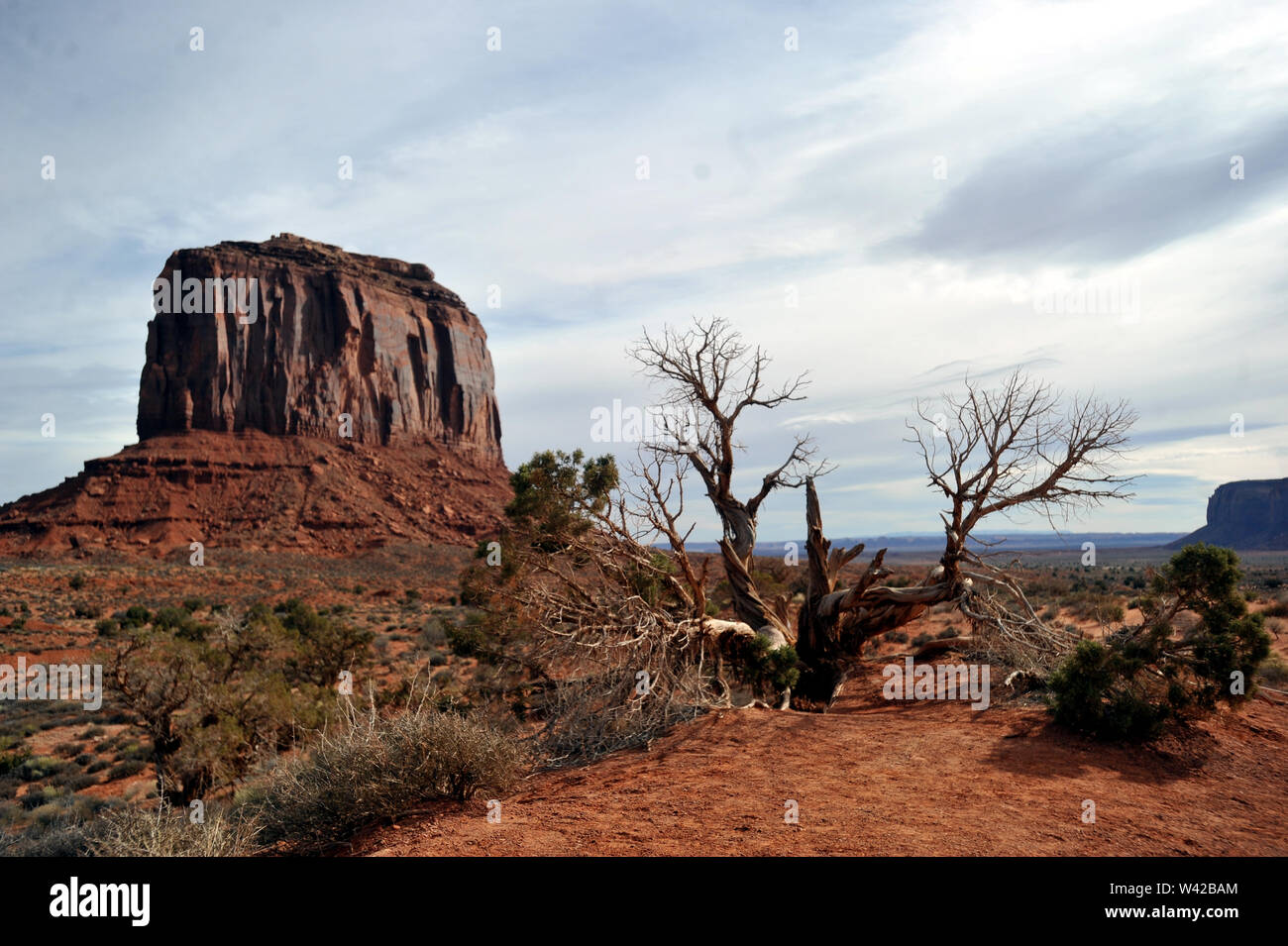 Red border films hi-res stock photography and images - Alamy