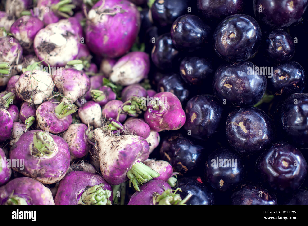Indian vegetables eggplant aubergine brinjal hi-res stock photography ...