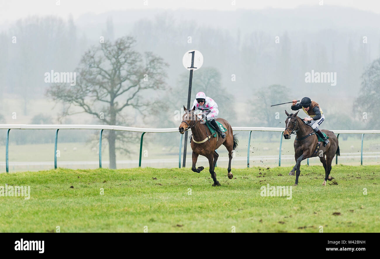 Two horses racing Stock Photo - Alamy