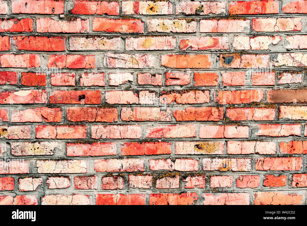 Texture, brick, wall, it can be used as a background. Brick texture ...