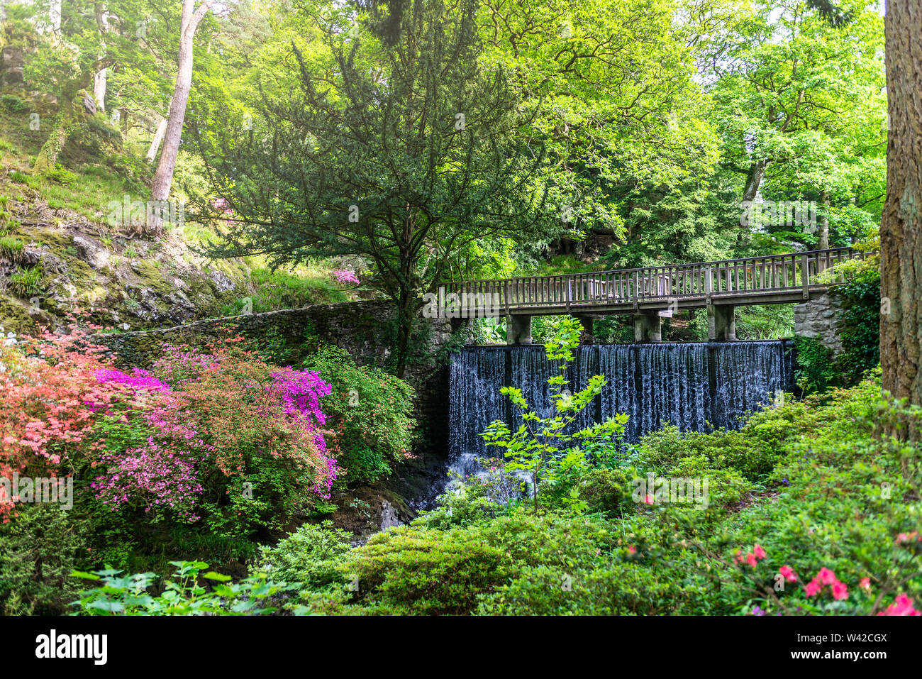 Beautiful Garden with blooming trees during spring time, Wales, UK ...