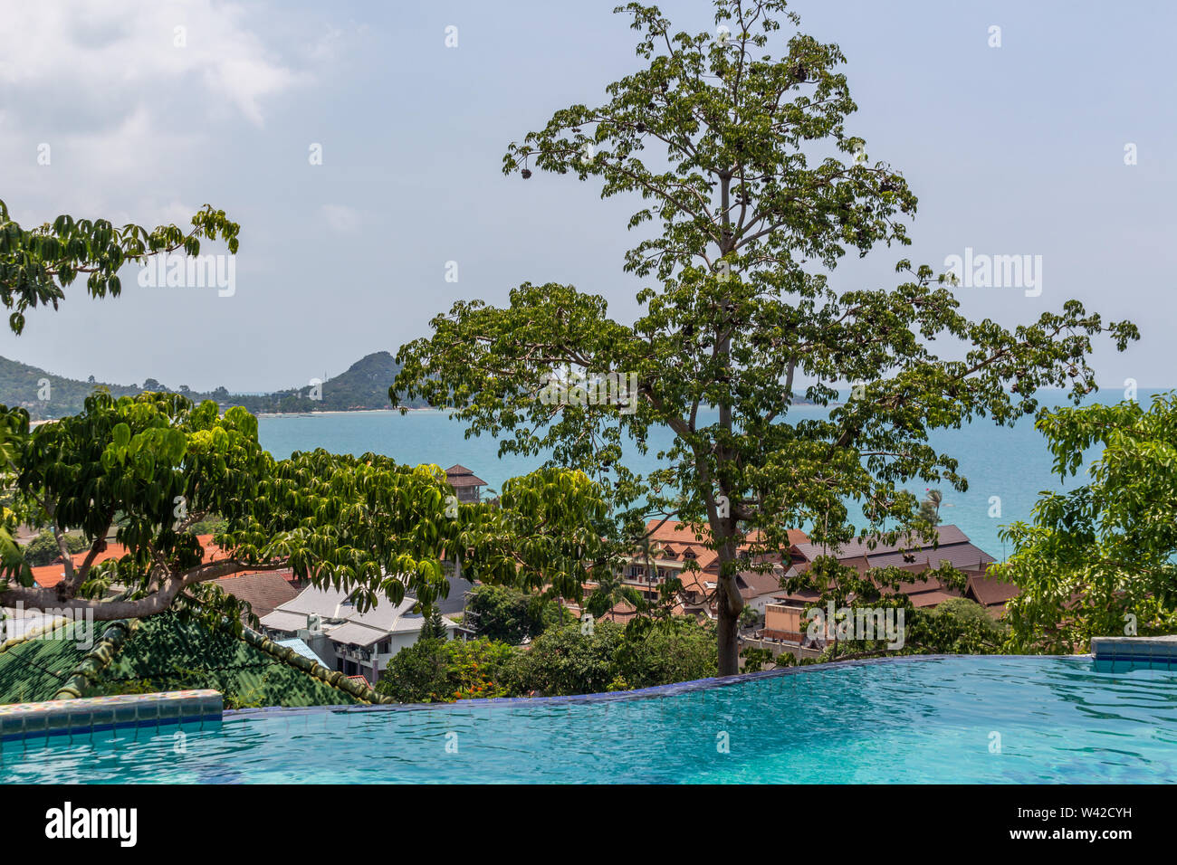 Infinity pool in forest hi-res stock photography and images - Alamy