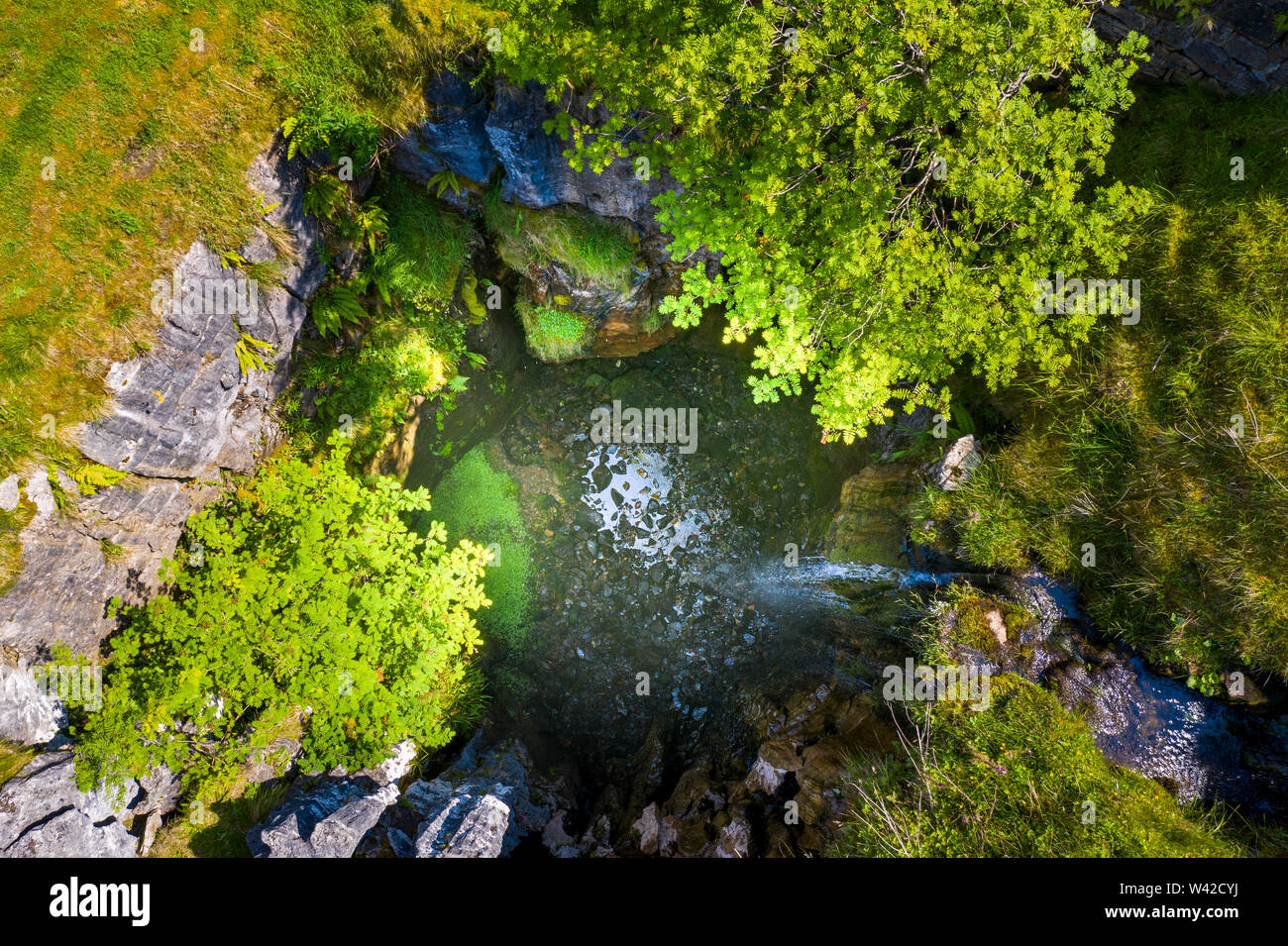 The Buttertubs limestone potholes on the Buttertups Pass between Hawes ...
