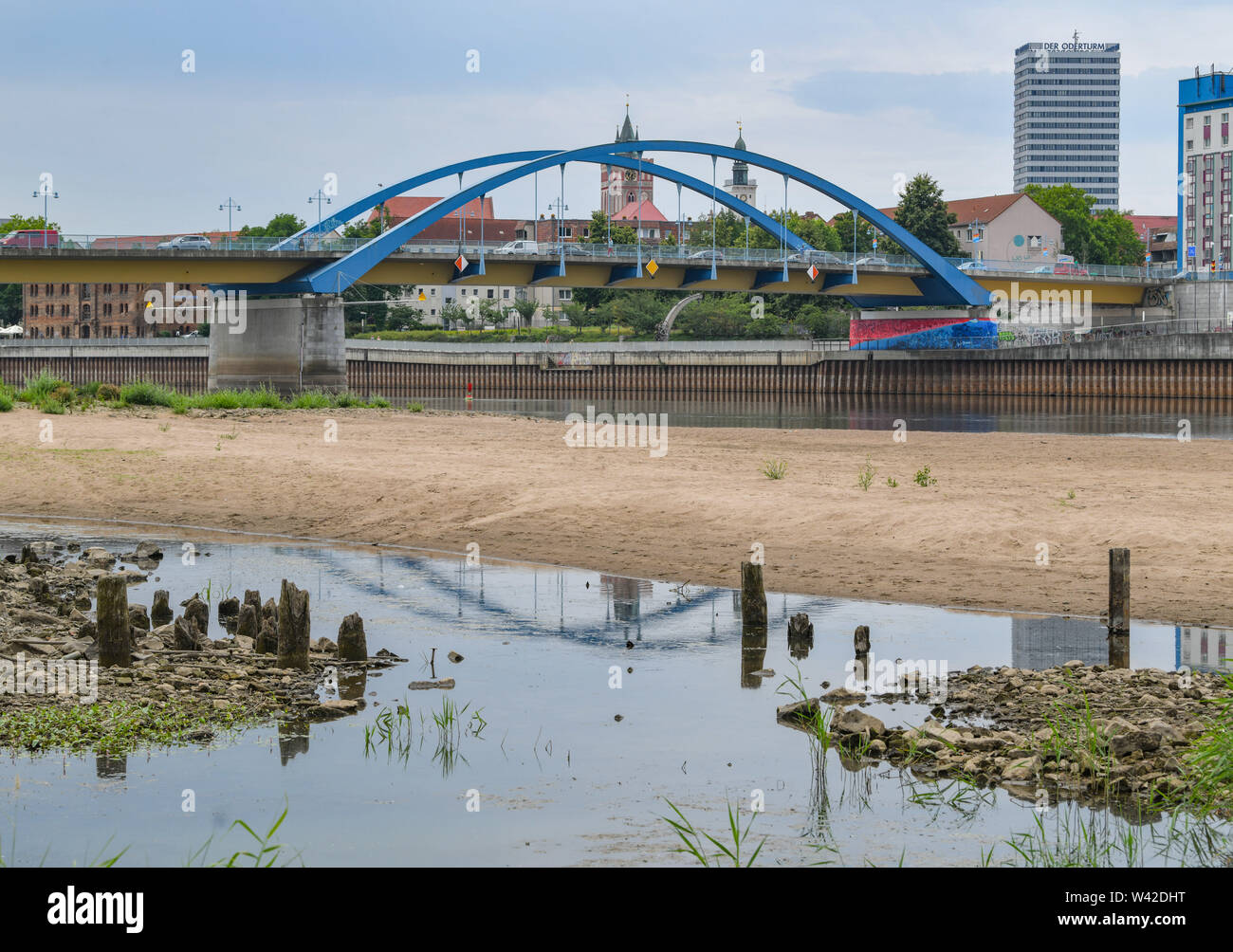 Slubice, Poland. 19th July, 2019. Wooden pillars protrude from the dry ...