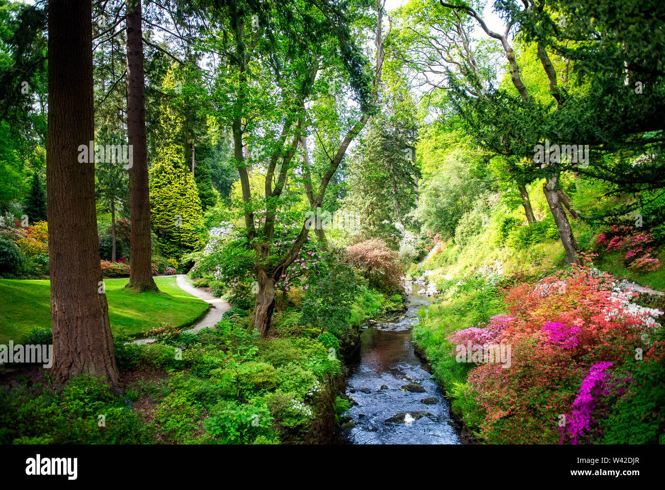 Beautiful Garden with blooming trees during spring time, Wales, UK ...