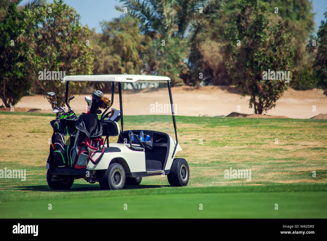 Golf carts on the grass sport field. Sport and lifestyle concept Stock ...