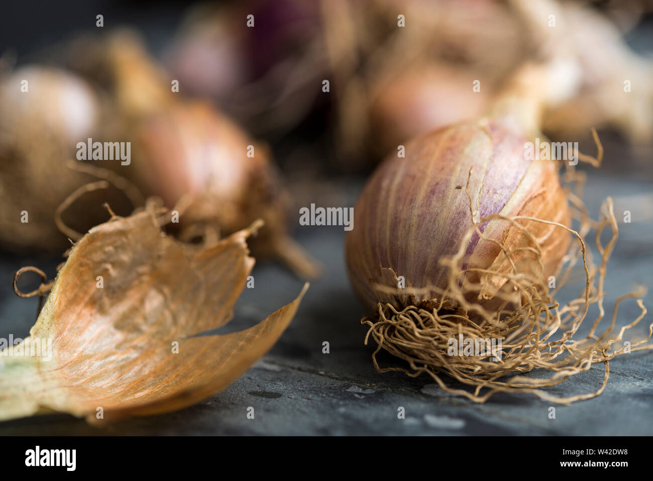 Garlic roots hi-res stock photography and images - Alamy