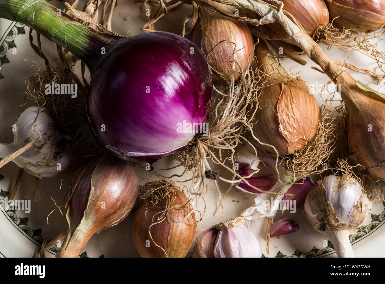 Red onion plant soil hi-res stock photography and images - Alamy