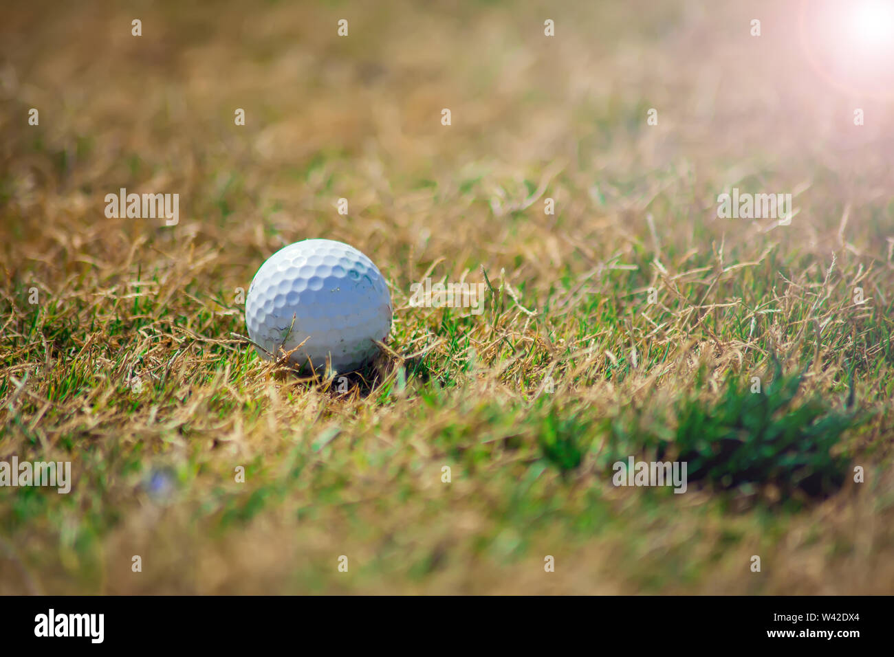 Sport relax hi-res stock photography and images - Alamy