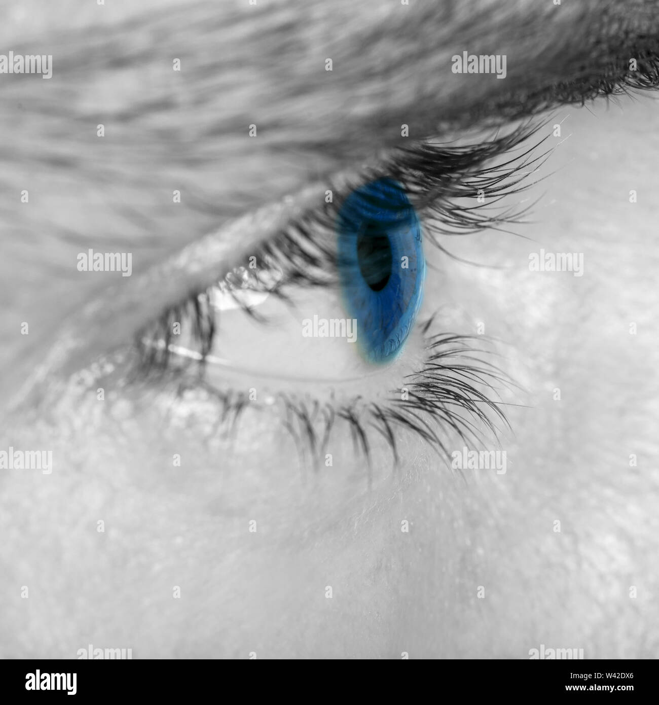 The Side View Inside Eye