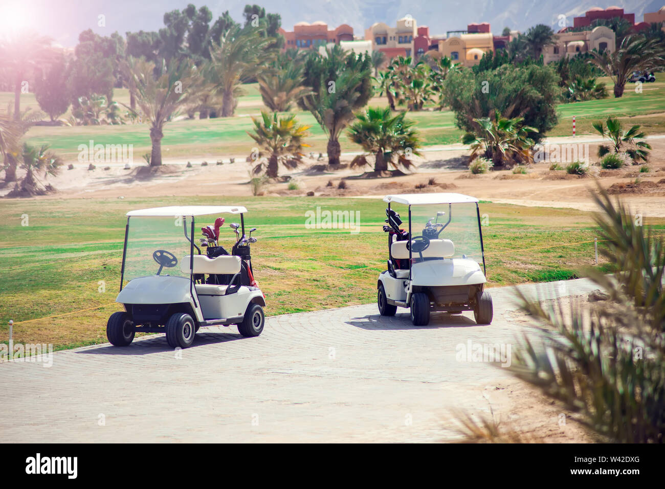 Golf carts on the grass sport field. Sport and lifestyle concept Stock ...
