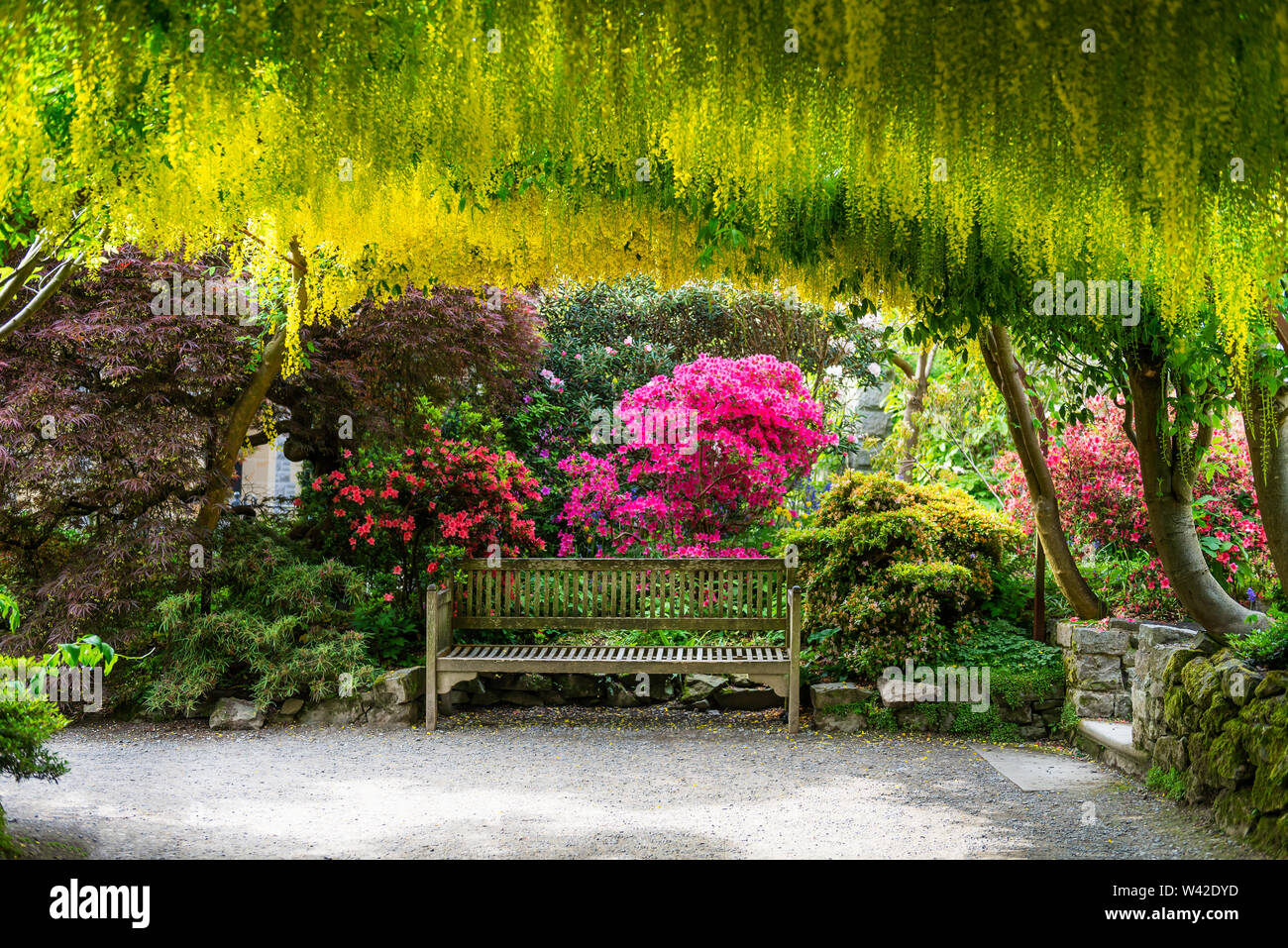 Beautiful Garden with blooming trees during spring time, Wales, UK ...