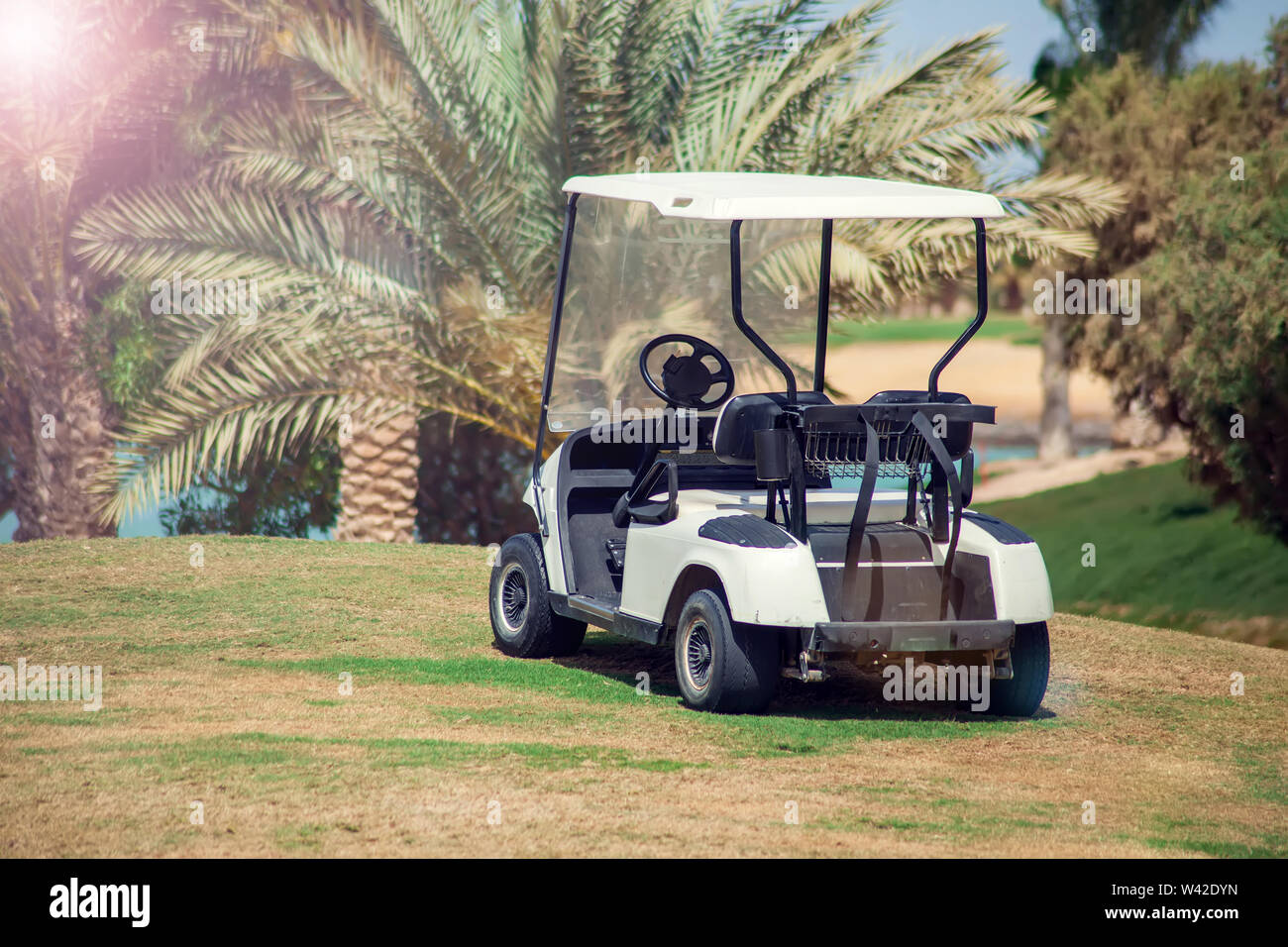 Golf carts on the grass sport field. Sport and lifestyle concept Stock ...