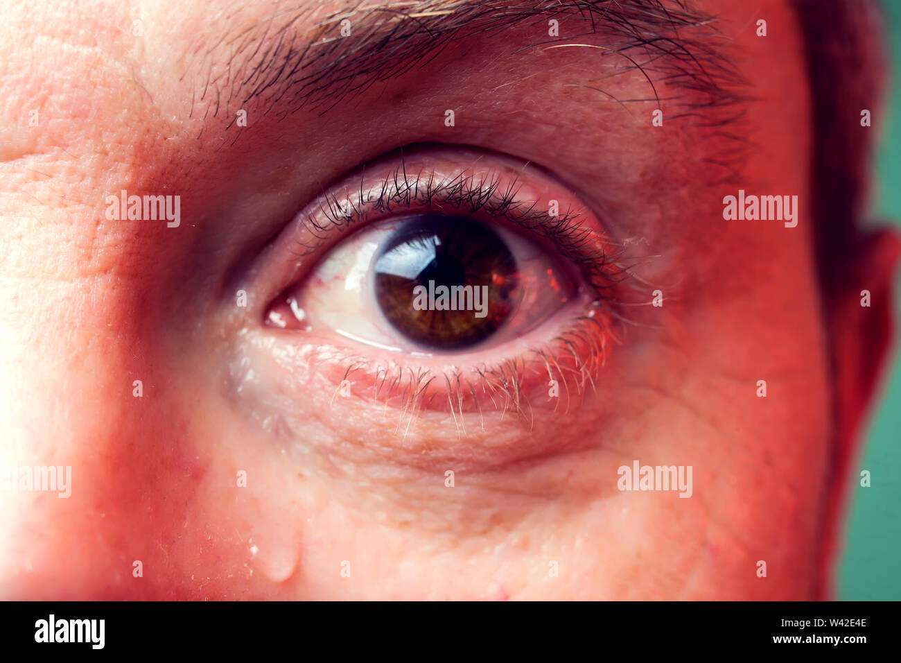 Close-up brown eye of a man with a tear. People, emotions concept Stock ...