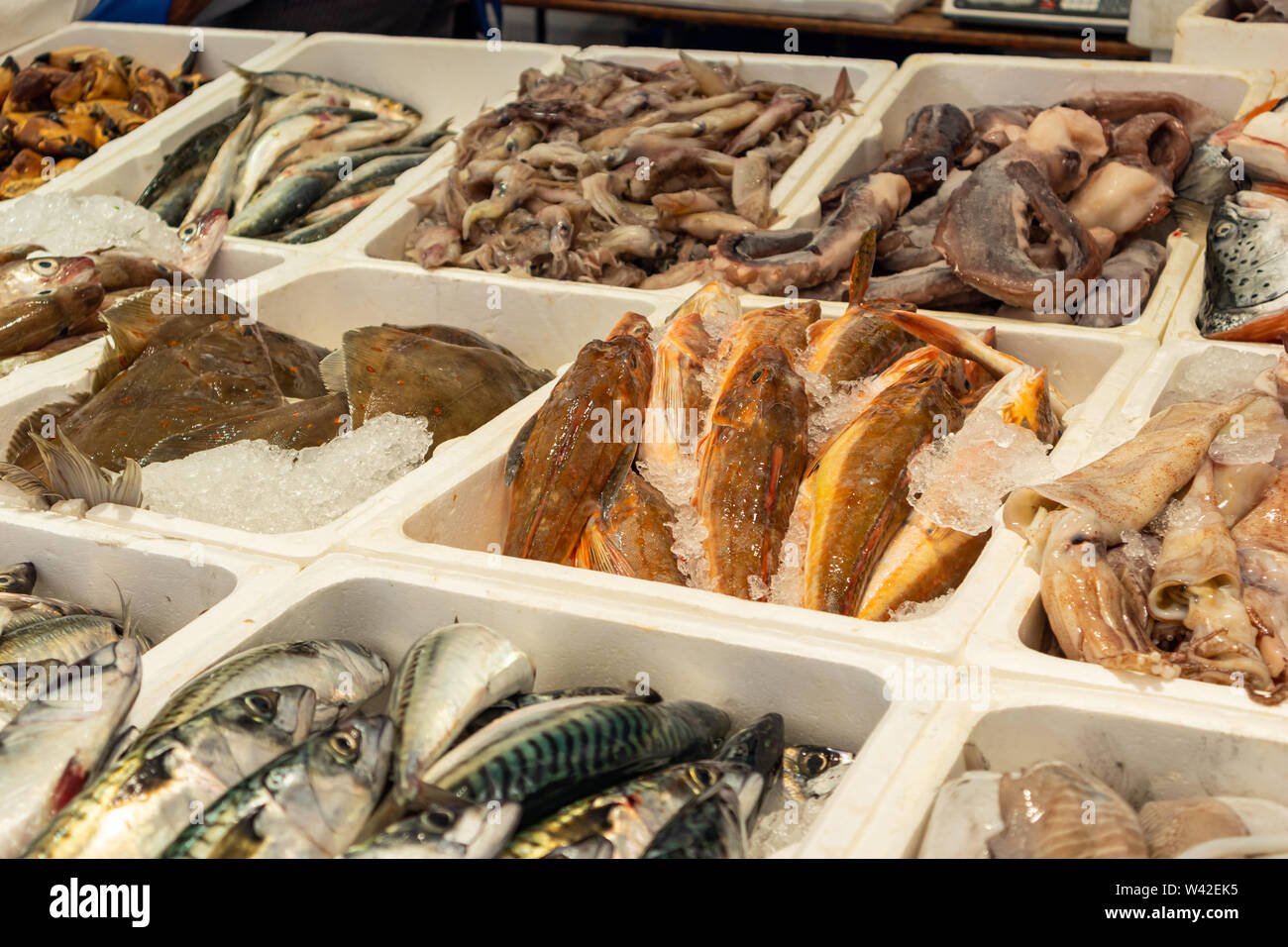 Fresh seafood display supermarket hi-res stock photography and images ...