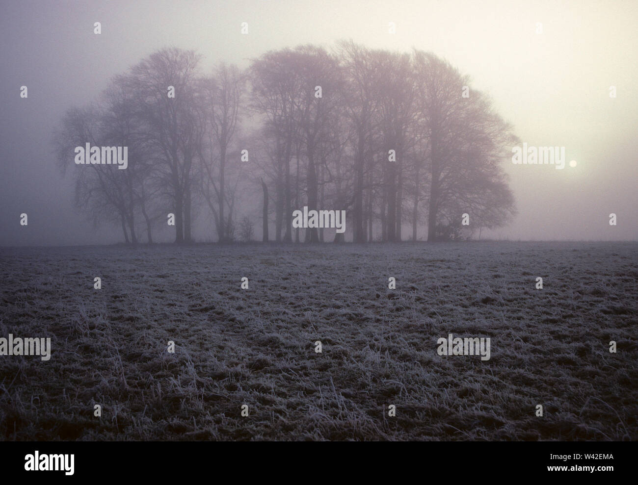 Avening Valley High Resolution Stock Photography and Images - Alamy