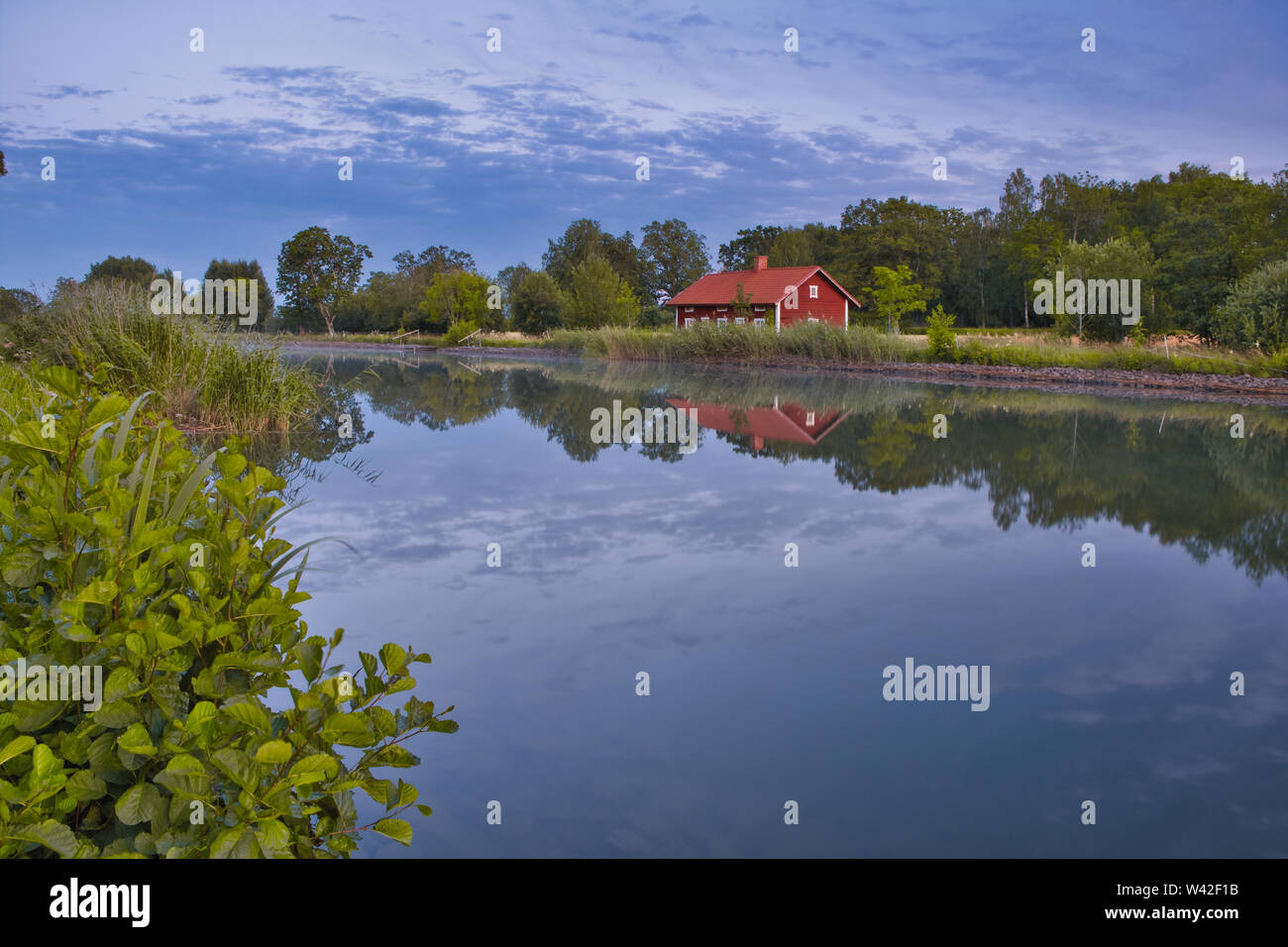 red cottage on a canal in the background and green plants in the ...