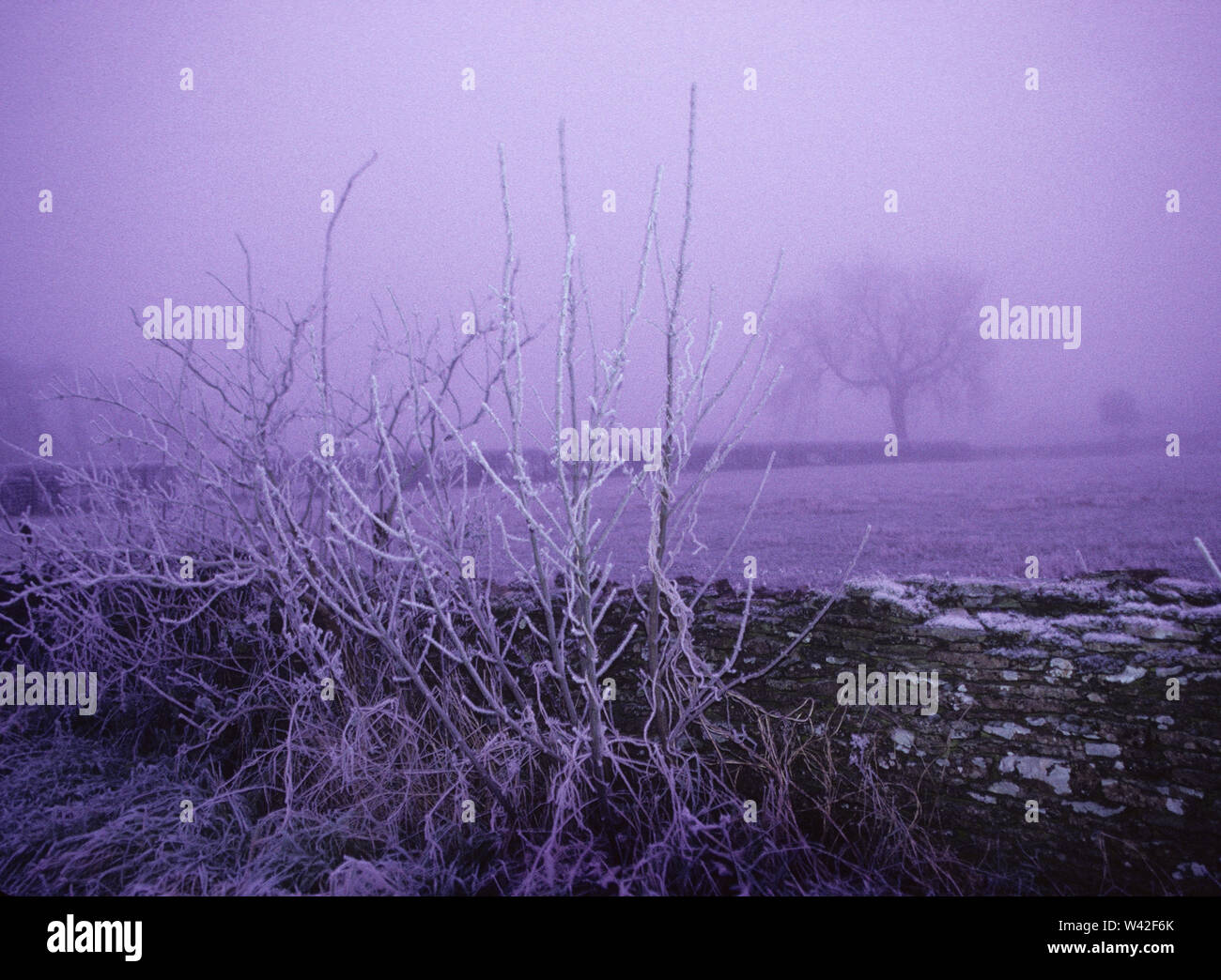 Avening hi-res stock photography and images - Alamy