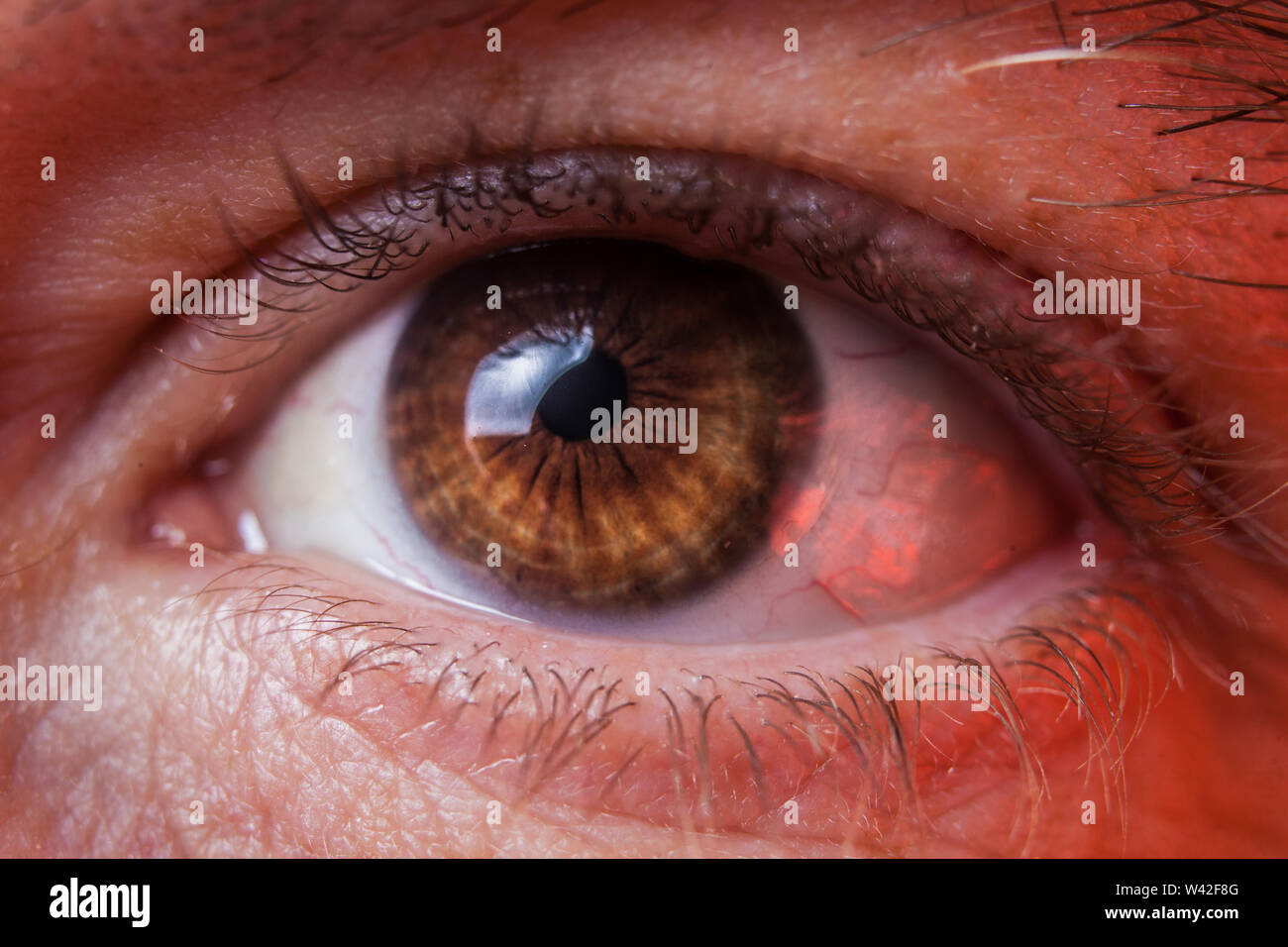 Human face close up sadness hi-res stock photography and images - Alamy