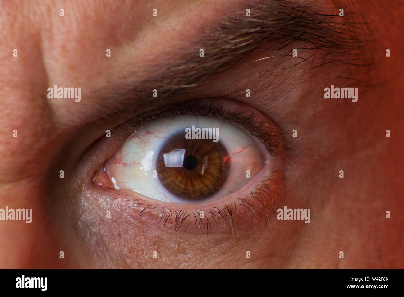 Macro image of human sad brown eye with tears, close-up details Stock ...