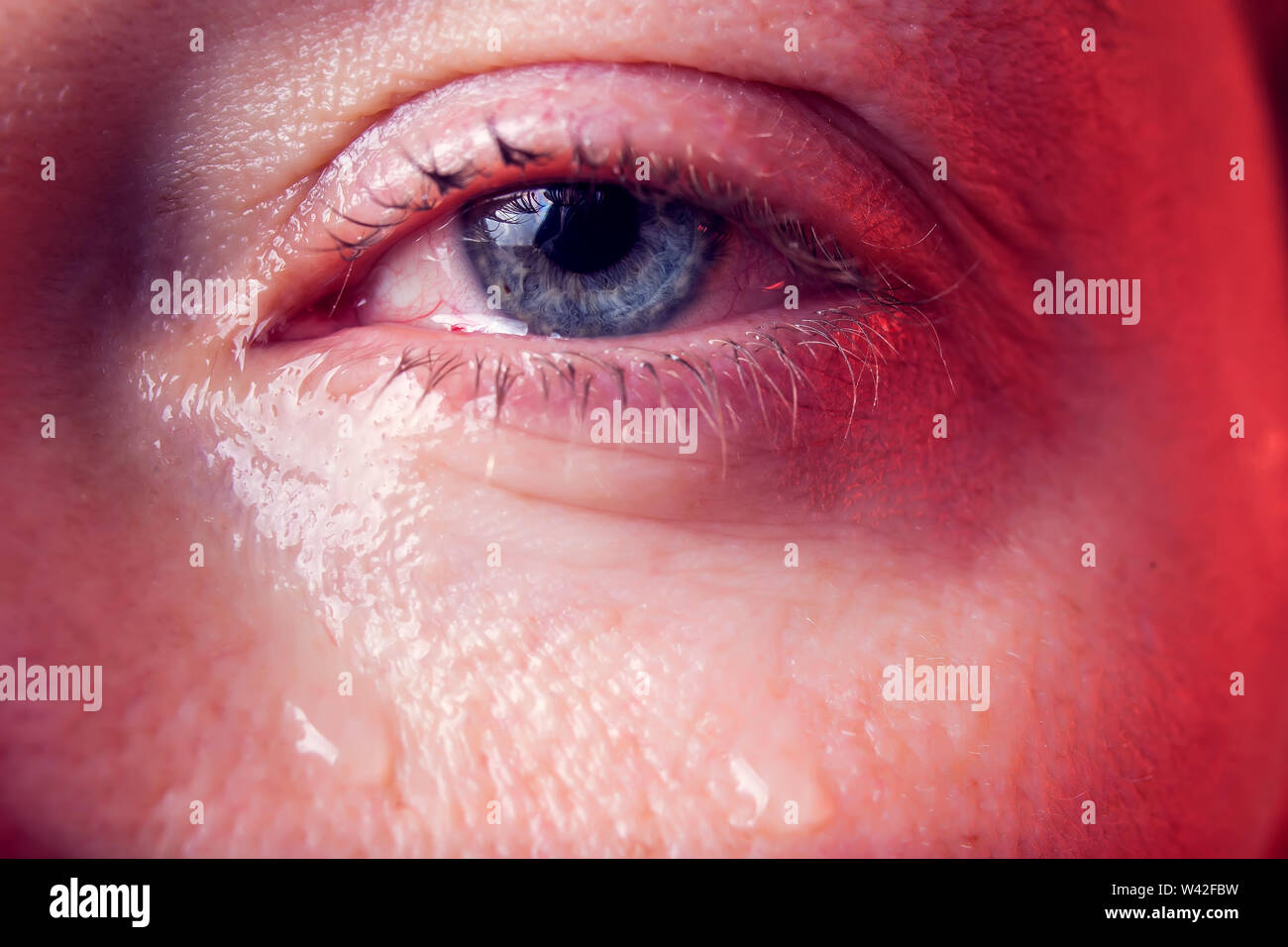 Close-up blue eye of a woman with a tear. People and emotions concept ...