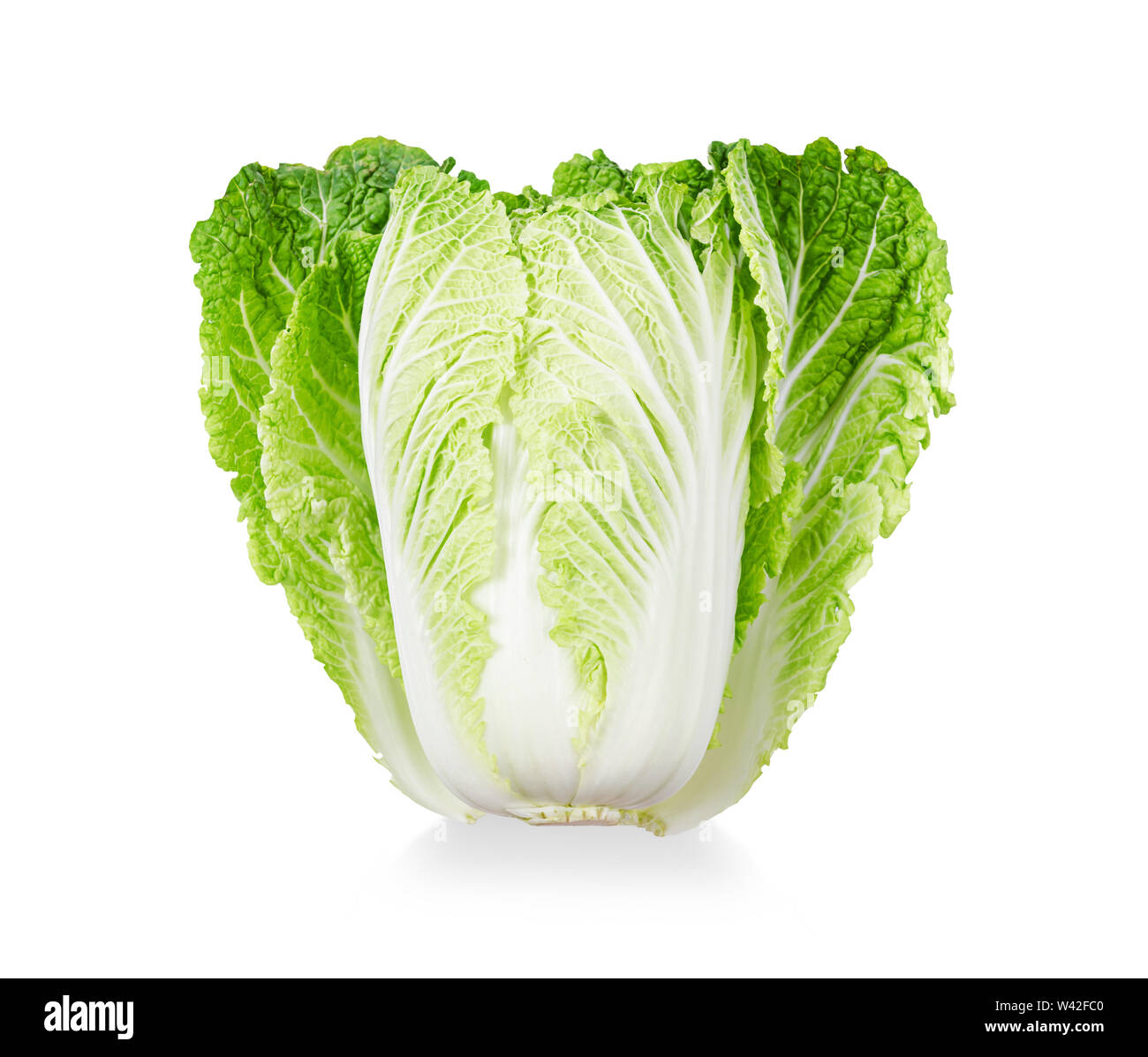 Fresh chinese cabbage on a white background, Save clipping path Stock ...