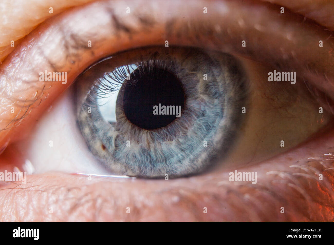 Sad Blue Eyes With Tears