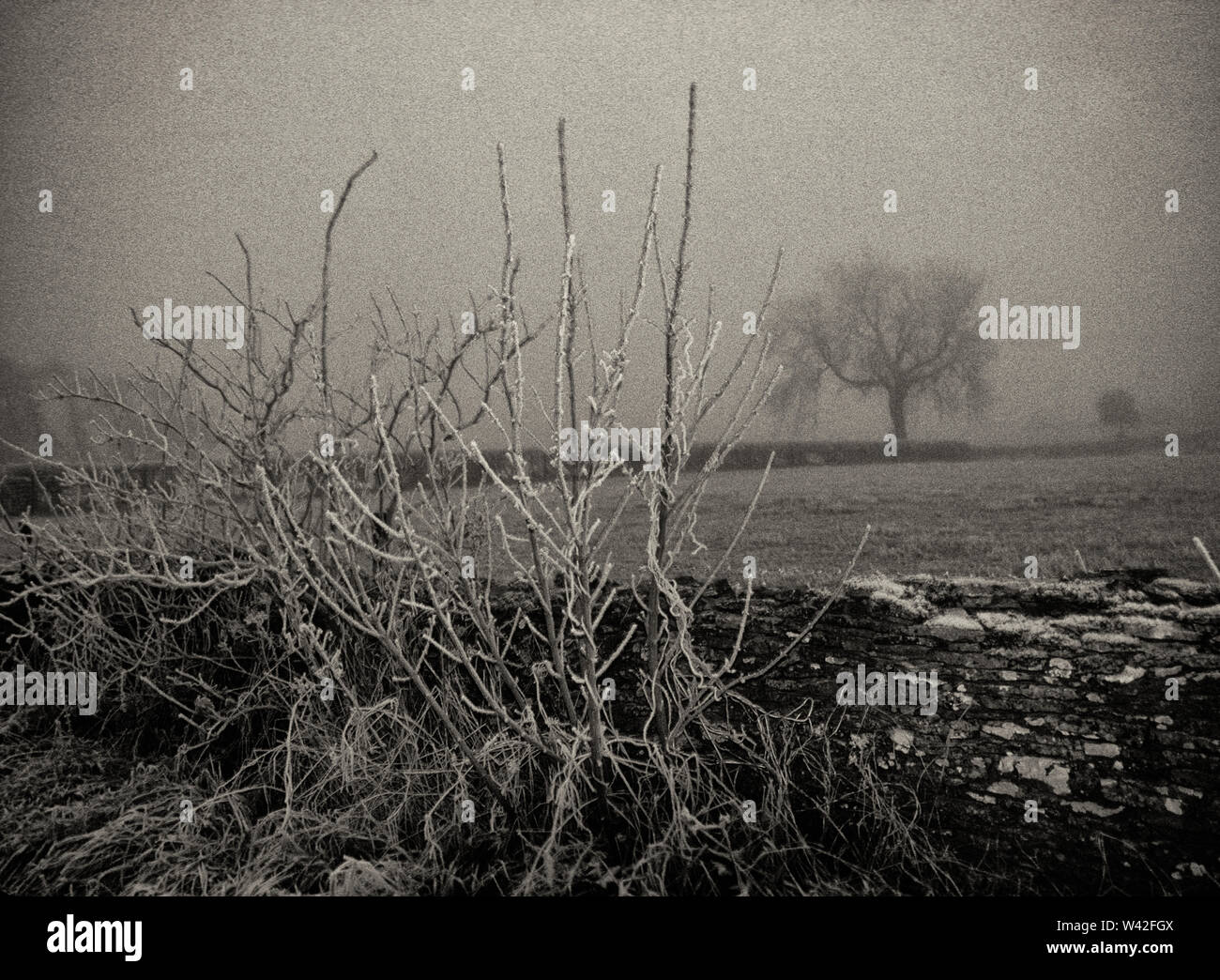 Winter in the Avening Valley, Glos, UK Stock Photo - Alamy