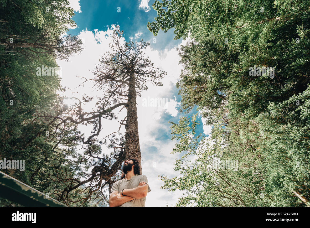 Smiling young man in a forest watching the forest Stock Photo - Alamy