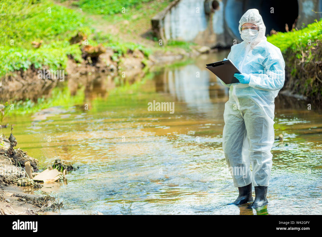 an experienced scientist ecologist, biologist conducting research ...