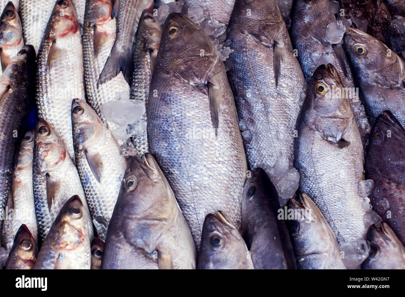 A lot of fresh fish at the market. Fish background Stock Photo - Alamy