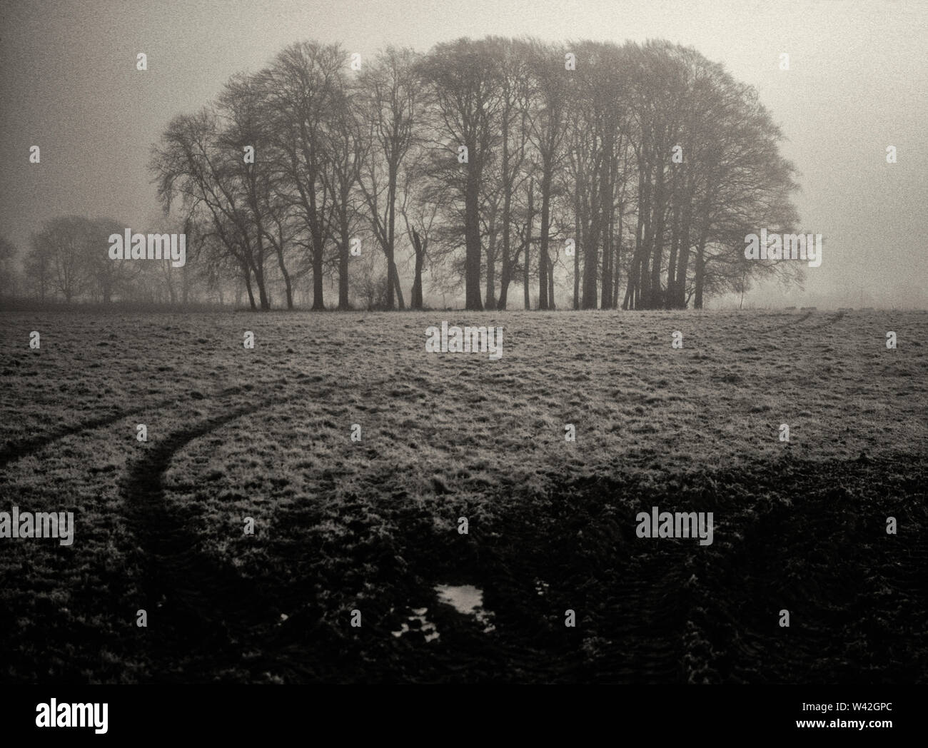 Avening hi-res stock photography and images - Alamy