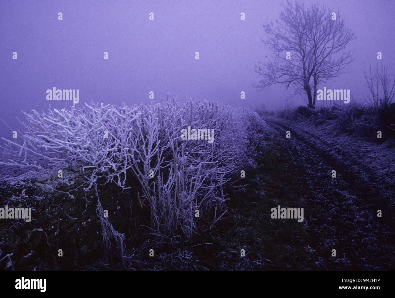 Avening hi-res stock photography and images - Alamy